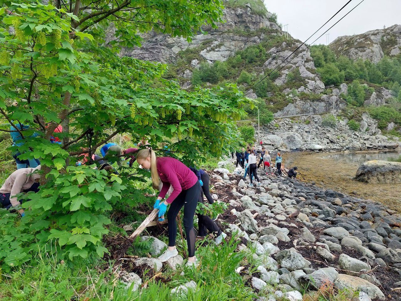 Plastrydding på Atløyna